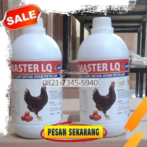 Suplemen Pakan Ayam Layer Temenggungan di Banyuwangi - Tribun JualBeli