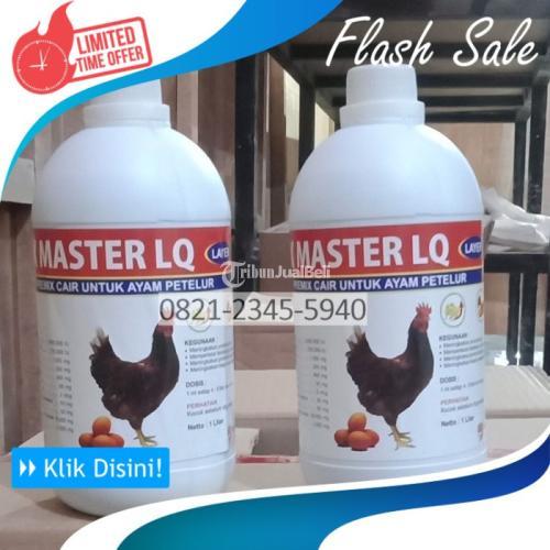 Suplemen Pakan Ayam Layer Temenggungan di Banyuwangi - Tribun JualBeli