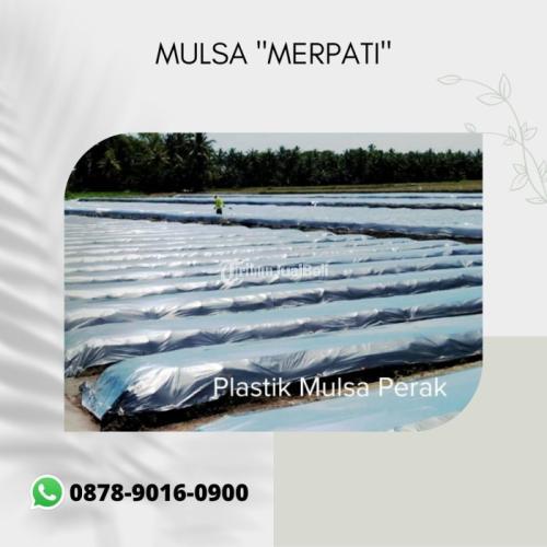 Kualitas Terjamin Produsen Plastik Sungkup di Surabaya - Tribun JualBeli Kualitas Terjamin Produsen Plastik Sungkup di Surabaya - Tribun JualBeli