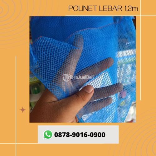 Polynet Biru Kualitas Terbaik Harga Terjangkau di Surabaya - Tribun ...
