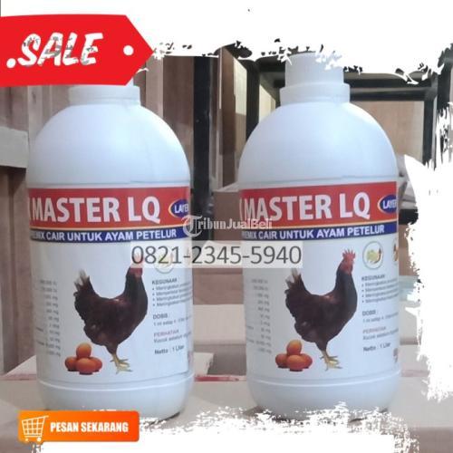 Suplemen Pakan Ayam Layer Temenggungan di Banyuwangi - Tribun JualBeli