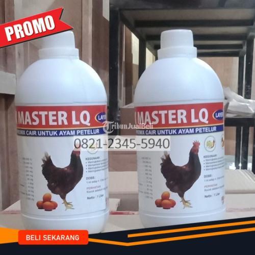 Suplemen Pakan Ayam Layer Temenggungan di Banyuwangi - Tribun JualBeli