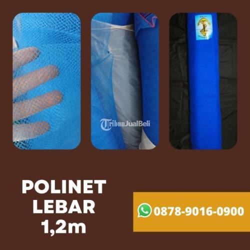 Best Price Polynet Bahan Nilon/senar di Surabaya - Tribun JualBeli