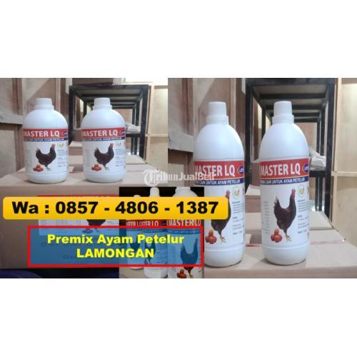 Tambahan Suplemen pada Minuman untuk Ayam Petelur di Lamongan - Tribun ...