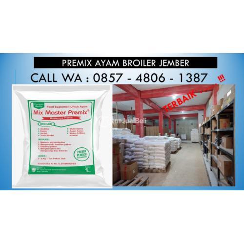 Premix Berkualitas Membantu Pertumbuhan Ayam di Jember - Tribun JualBeli