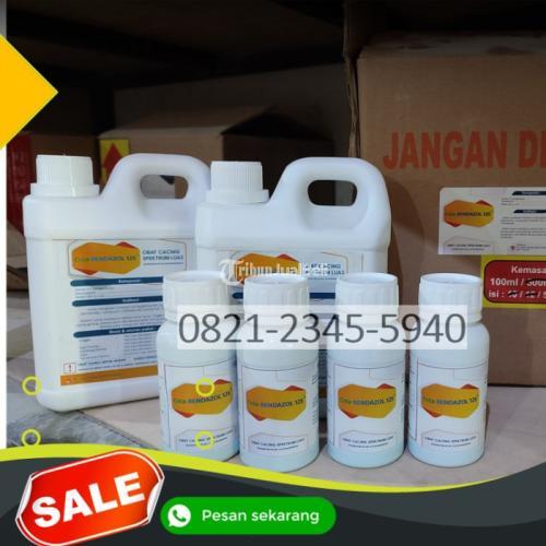 Produsen Obat Cacing Sapi Kapsul di Lembata - Tribun JualBeli