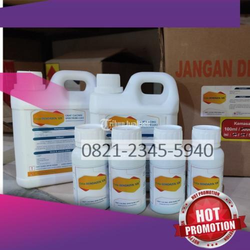 Obat Sapi Cacingan Tradisional di Bandung Barat - Tribun JualBeli