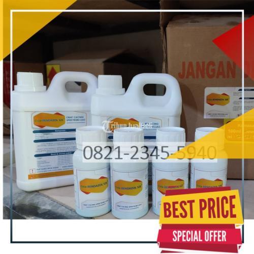 Obat Sapi Cacingan Tradisional di Bandung Barat - Tribun JualBeli