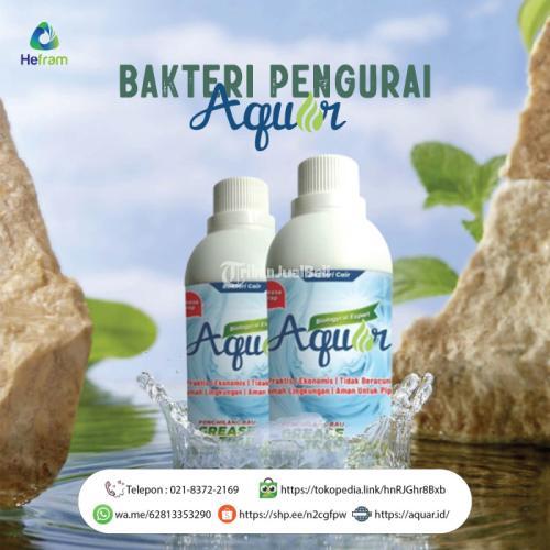 Bakteri Pengurai Aquar di Bogor - Tribun JualBeli