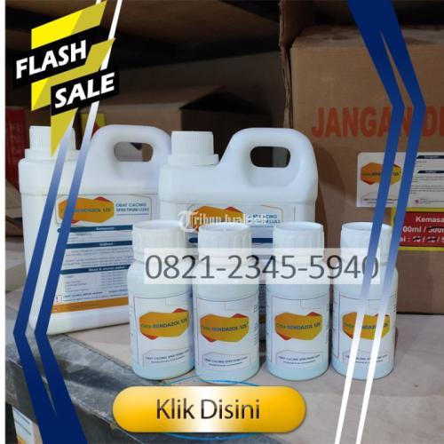 Harga Obat Sapi Cacingan Tradisional Bandung Barat - Tribun JualBeli