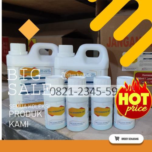 Produsen Obat Cacing Sapi Yang Bagus Sabu Raijua - Tribun JualBeli