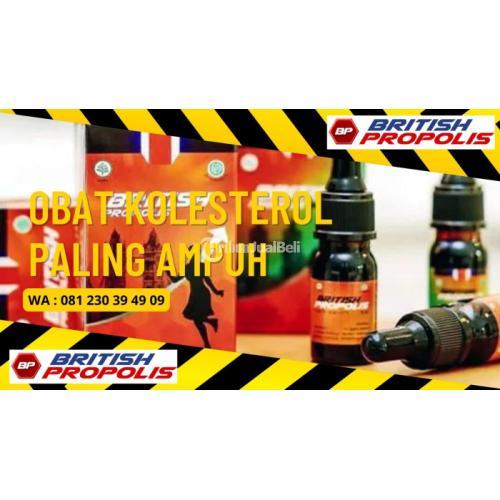 Obat Kolesterol Tinggi British Propolis di Mojokerto - Tribun JualBeli