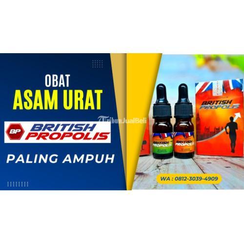 Obat Asam Urat Tinggi British Propolis di Ngawi - Tribun JualBeli