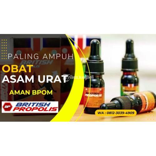 Obat Asam Urat Bagus British Propolis di Ngawi - Tribun JualBeli