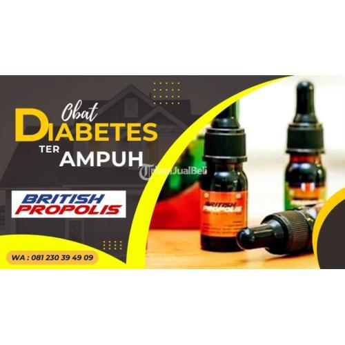 Obat Diabetes Melitus : British Propolis di Bojonegoro Jawa Timur ...
