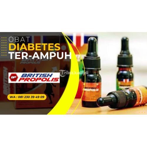 Obat Menurunkan Diabetes British Propolis di Bojonegoro - Tribun JualBeli