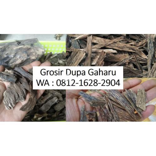 Distributor Dupa Gaharu di Jakarta Selatan - Tribun JualBeli Distributor Dupa Gaharu di Jakarta Selatan - Tribun JualBeli