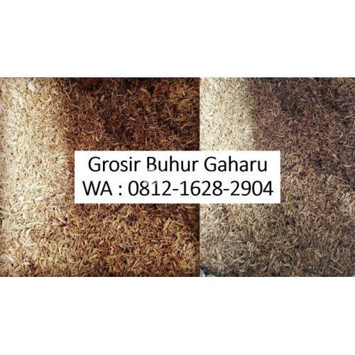Distributor Dupa Gaharu di Jakarta Selatan - Tribun JualBeli Distributor Dupa Gaharu di Jakarta Selatan - Tribun JualBeli