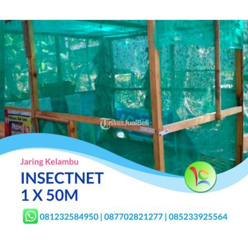 Insectnet Warna Putih dan Hijau di Kendari - Tribun JualBeli