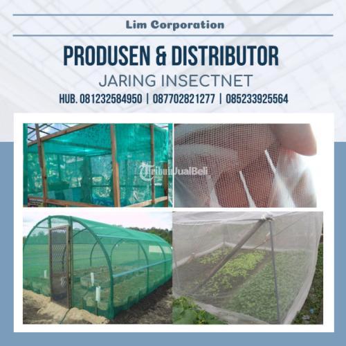 Insectnet Warna Putih dan Hijau di Kendari - Tribun JualBeli