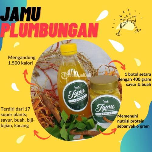 Produsen Sinom Botol Higienis Jamu Plumbungan Gula Asli di Malang ...