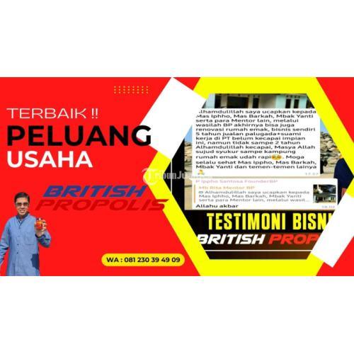 Peluang Bisnis Anak Muda Bersama British Propolis di Blitar - Tribun ...
