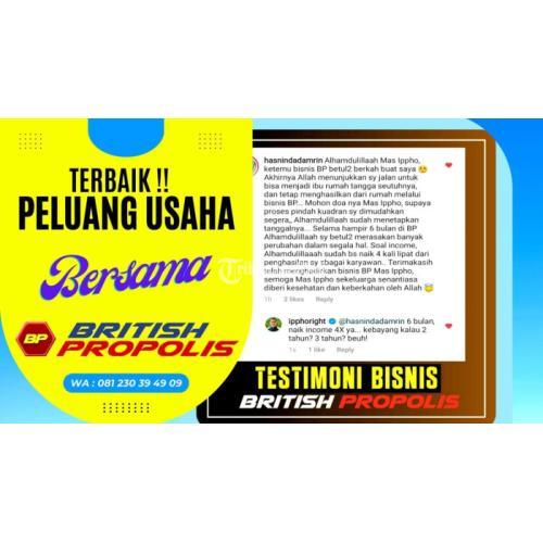 Peluang Bisnis Anak Muda Bersama British Propolis di Blitar - Tribun ...