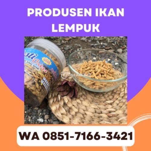 Produsen Ikan Lempuk di Pasuruan - Tribun JualBeli