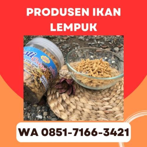 Produsen Ikan Lempuk di Pasuruan - Tribun JualBeli