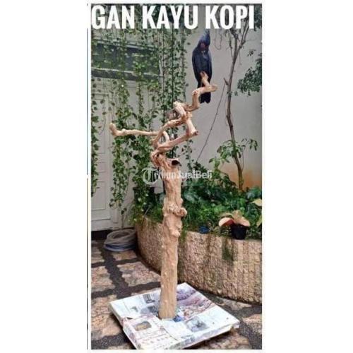 Kerajinan Kayu Kopi di Malang - Tribun JualBeli