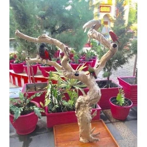 Kerajinan Kayu Kopi di Malang - Tribun JualBeli