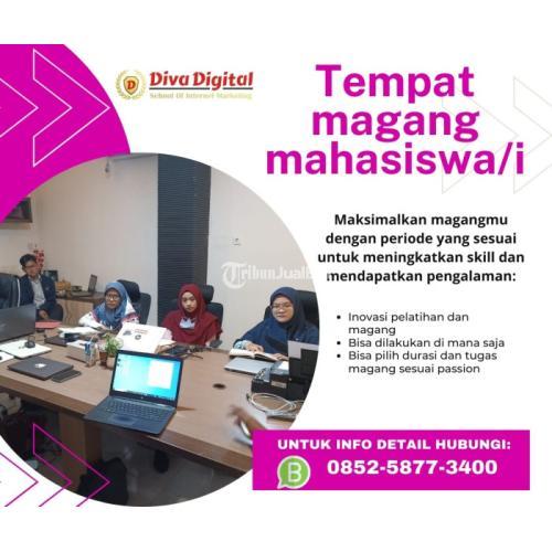 Tempat Magang Kuliah Akuntansi di Sidoarjo - Tribun JualBeli