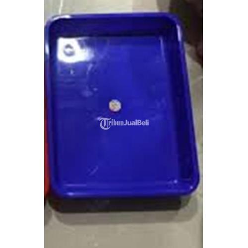 Baki Plastik Murah di Sleman - Tribun JualBeli