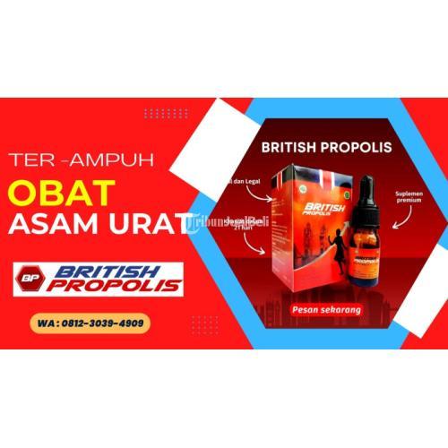 Obat Asam Urat British Propolis di Sampang - Tribun JualBeli