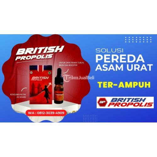 Obat Asam Urat Parah British Propolis Di Sampang di Madura - Tribun ...