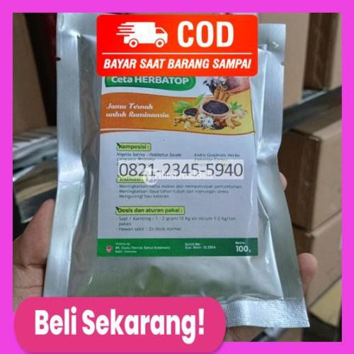 Obat Alami Untuk Sapi Kembung Ceta Herbatop Ruminansia di Kudus ...