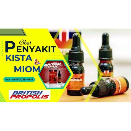 Obat Kista Leher Tasikmalaya Jawa Barat : British Propolis - Tribun ...