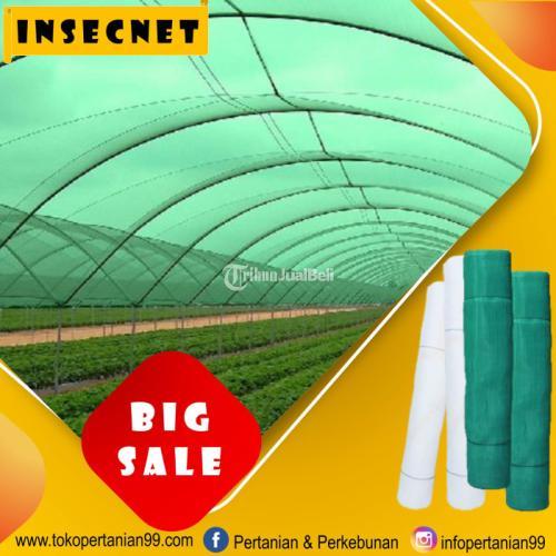 Insectnet Warna Hijau New Ukuran 3 X 50m di Jombang - Tribun JualBeli