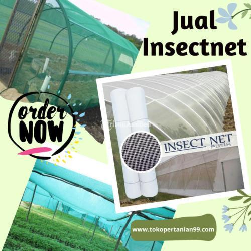 Insectnet Warna Hijau New Ukuran 3 X 50m di Jombang - Tribun JualBeli