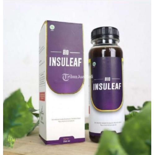 Bio Insuleaf Obat Diabetes di Jakarta Selatan - Tribun JualBeli