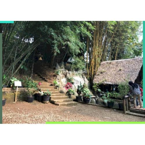 Dijual Ruko Bandung Cimenyan Cafe Di Dago Pakar Dengan View Menarik Dan ...