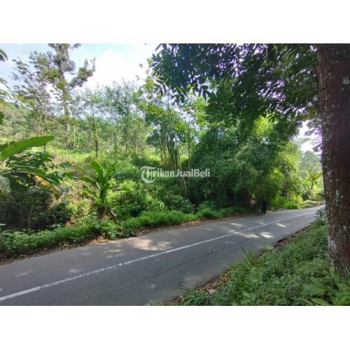 Tanah Raya Trawas 0 Jalan Raya TrawasdiPandaan, Depan Wisata - Tribun ...