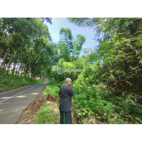 Tanah Raya Trawas 0 Jalan Raya TrawasdiPandaan, Depan Wisata - Tribun ...