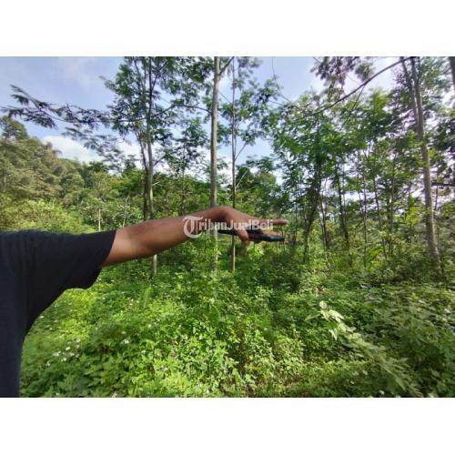 Tanah Raya Trawas 0 Jalan Raya TrawasdiPandaan, Depan Wisata - Tribun ...