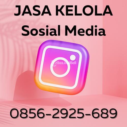 Jasa Kelola Sosial Media Jogja - Tribun JualBeli