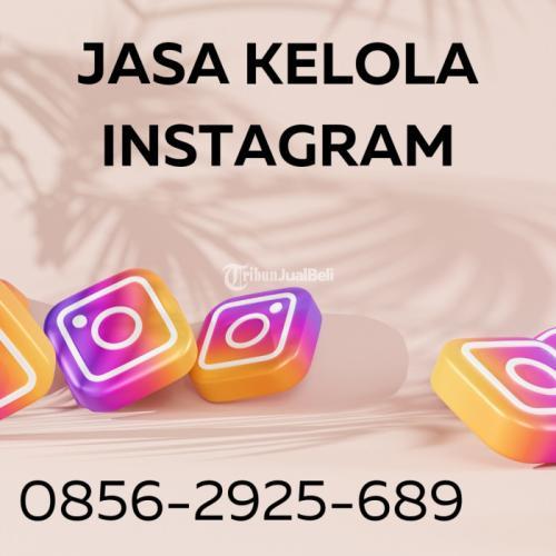 Jasa Kelola Sosial Media Jogja - Tribun JualBeli