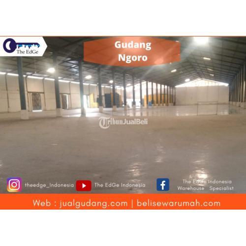 Disewakan Gudang Raya Ngoro Izin Industri di Mojokerto - Tribun JualBeli