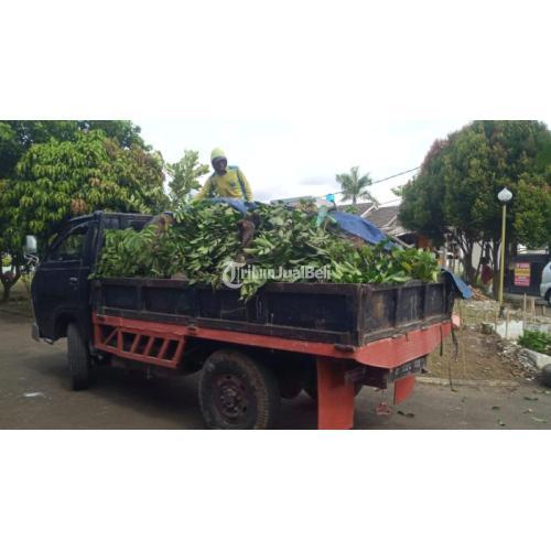 Jasa Buang Sampah Proyek, Urugan, Buang Puing di Tangerang - Tribun ...
