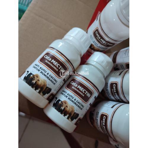 Produsen, WA 0819di1738di0373 AMPUH Obat Alami Caplak Pada Sapi ...