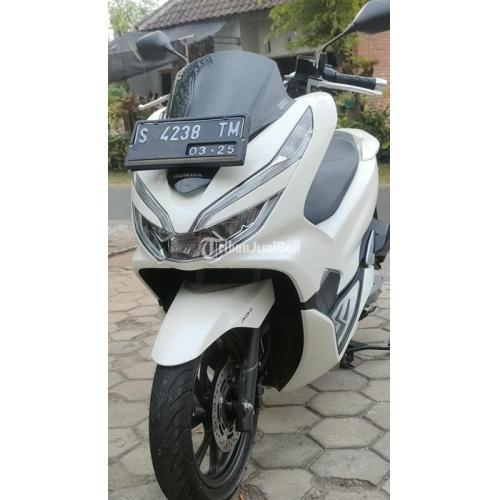 Motor Honda PCX Bekas Tahun 2020 Warna Putih Siap Pakai Surat Lengkap ...